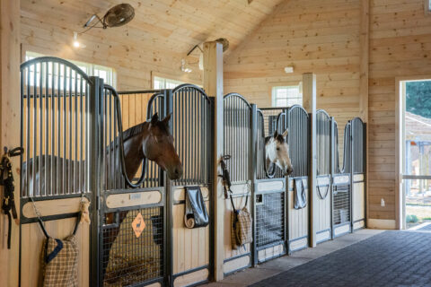What is the Best Way to Clean a Horse Stall?