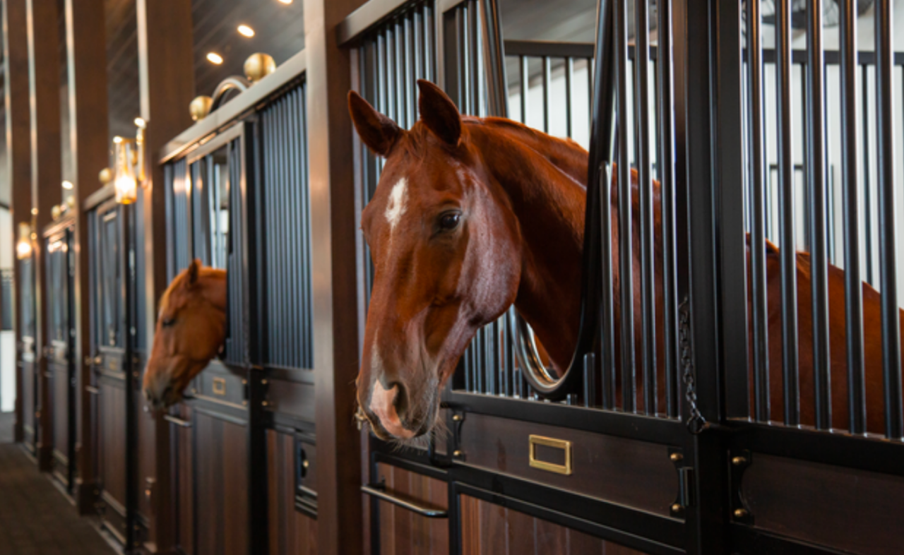 5 Tips for Selecting Stall Fronts and Doors