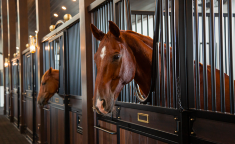 5 Tips for Selecting Stall Fronts and Doors