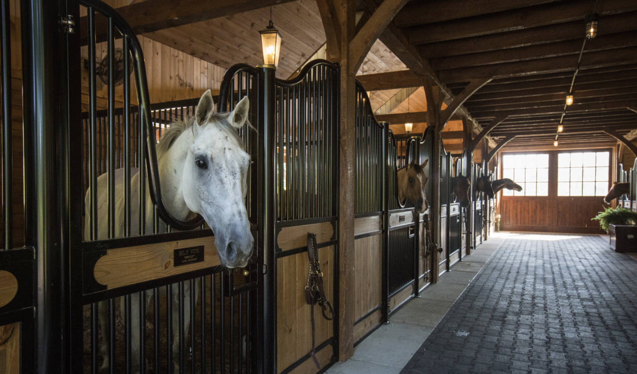 12 Steps for Spring Cleaning Your Horse Stalls
